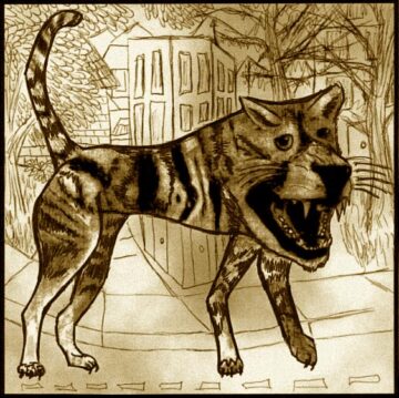 Mngwa or Nunda - Eve Harms